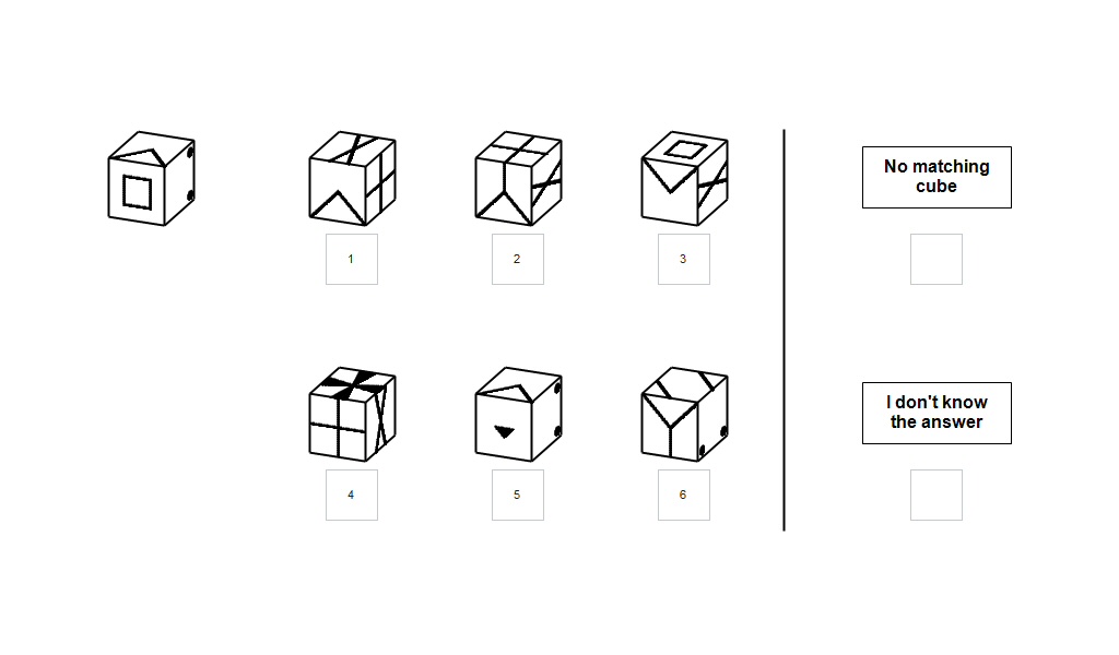 SkyTest® - Asia: Orientation: Cube Comparison Test