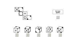 SkyTest® - MEC: Orientation: Cube Folding Test